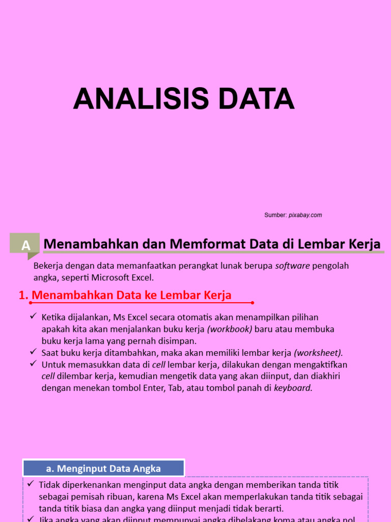 Panduan Menginput Data di Excel | PDF | Teknologi & Rekayasa