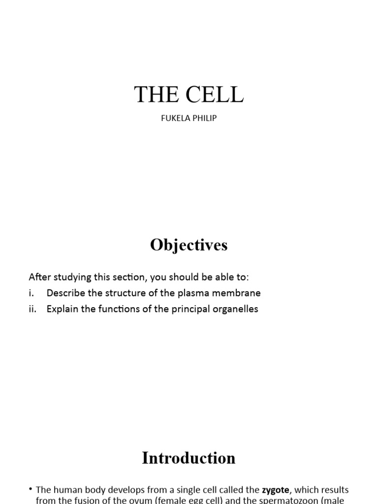 The Cell | PDF | Endoplasmic Reticulum | Cell Membrane