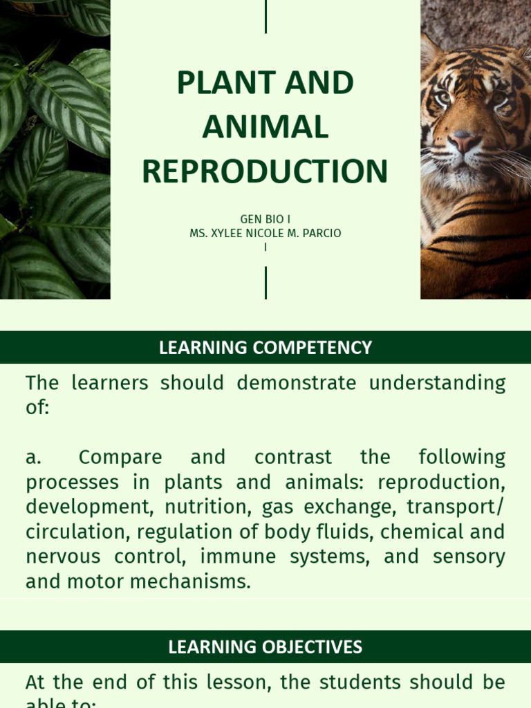Plant and Animal Reproduction | PDF | Flowers | Reproduction