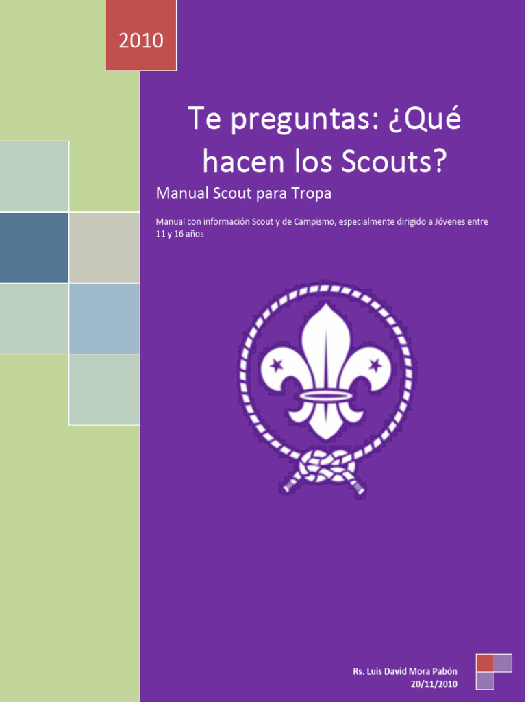Manual-Scout | PDF | Exploración