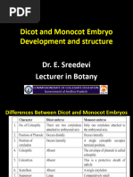 Cycas and Pinus: Morphology & Reproduction | PDF | Leaf | Plant Stem