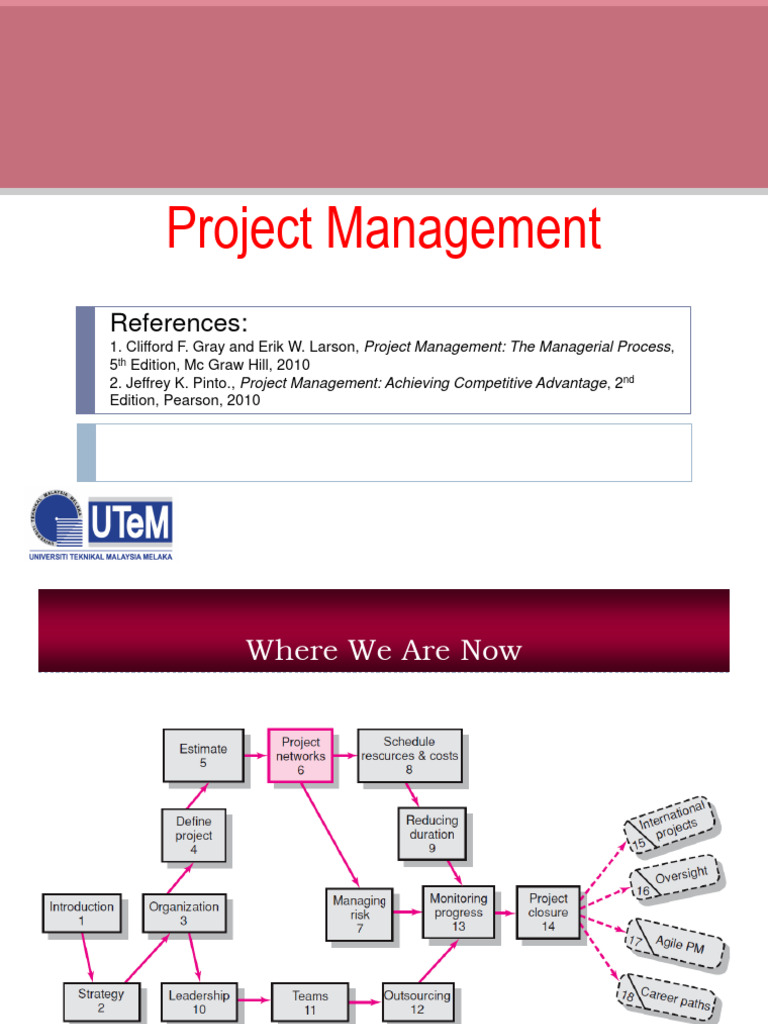 Chap006 - Developing A Project Plan | PDF