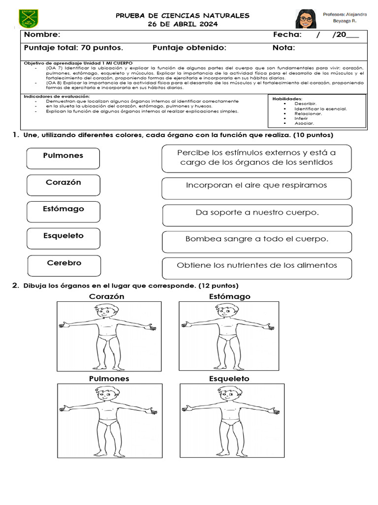 Funciones y Ubicación de Órganos del Cuerpo | PDF | Corazón | Pulmón