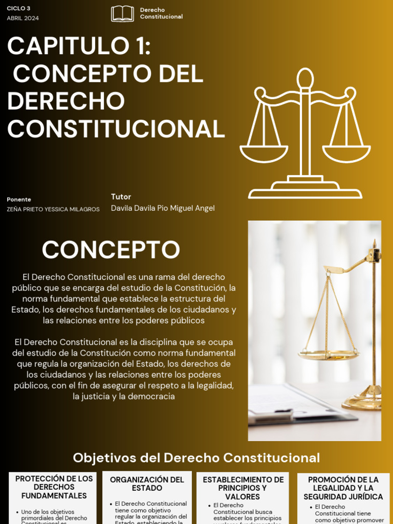 CAPITULO1 | PDF | Constitución | Separación de poderes