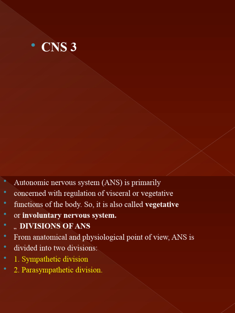 CNS - 3 | PDF | Autonomic Nervous System | Human Anatomy