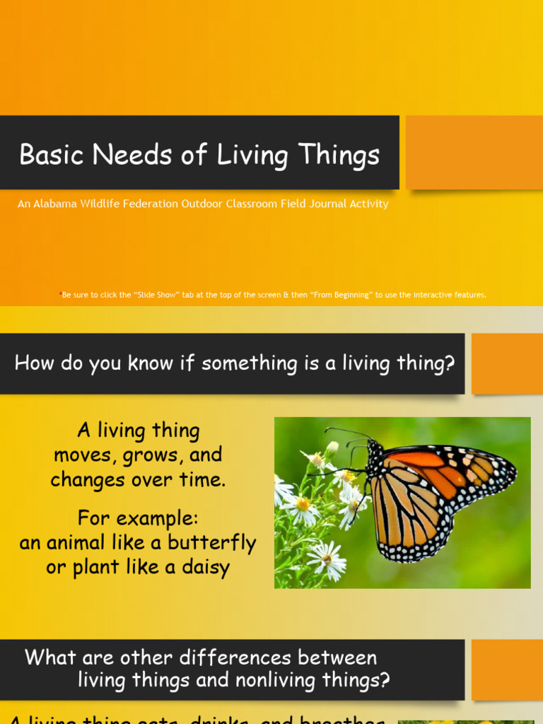 Basic Needs of Living Things Explained | PDF