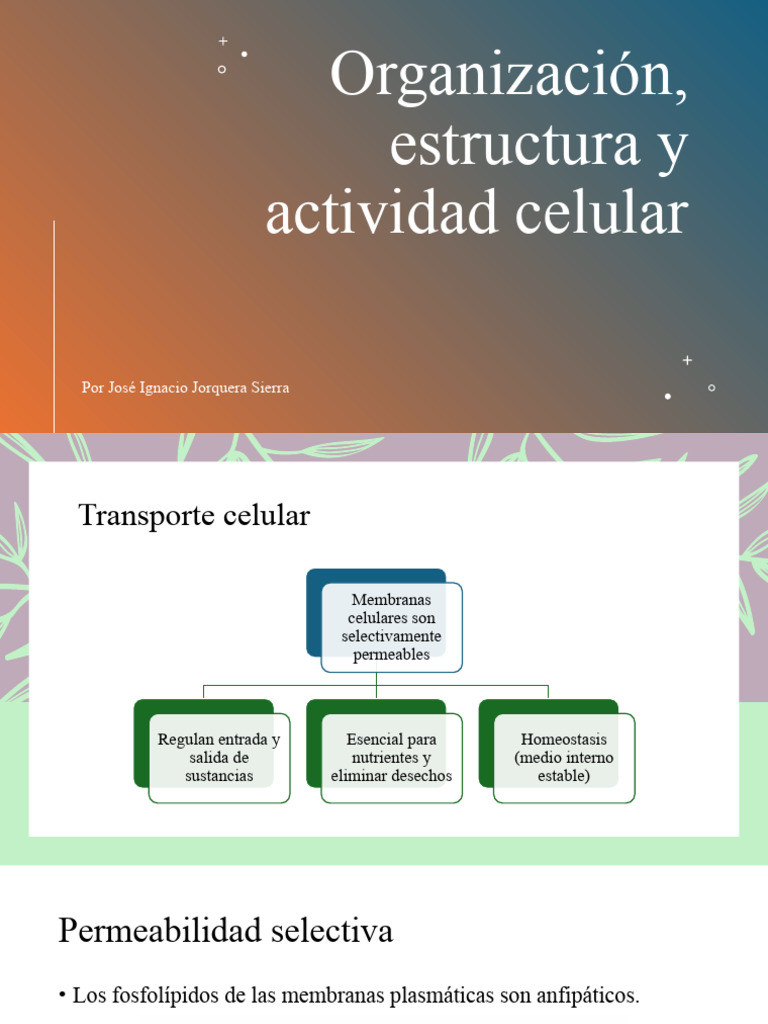 Clase 2 Organización, estructura y actividad celular | PDF Clase 2 Organización, estructura y actividad celular | PDF