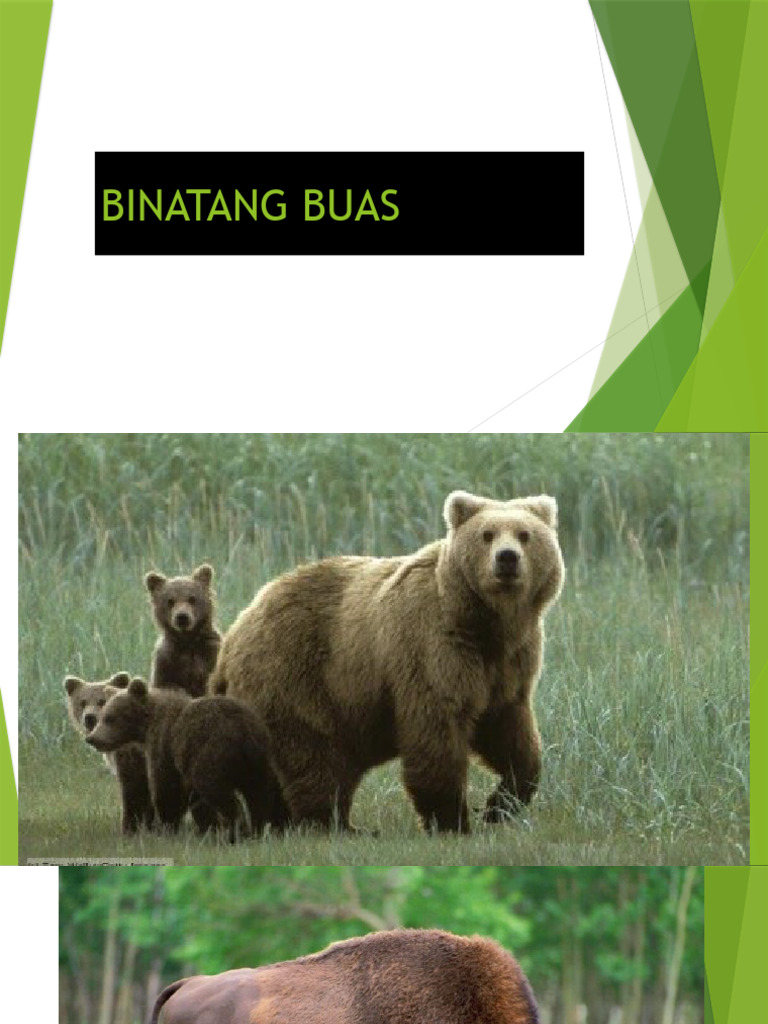Binatang Buas | PDF