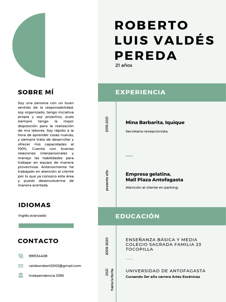 Currículum Roberto Valdés | PDF