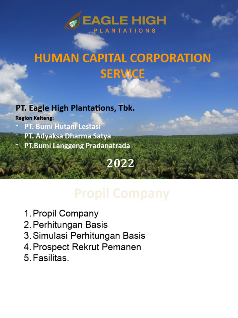 Hccs | PDF
