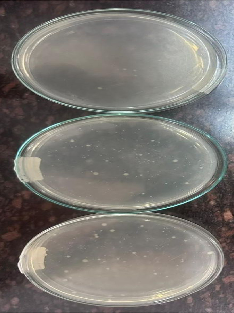 Pour Plate Method | PDF