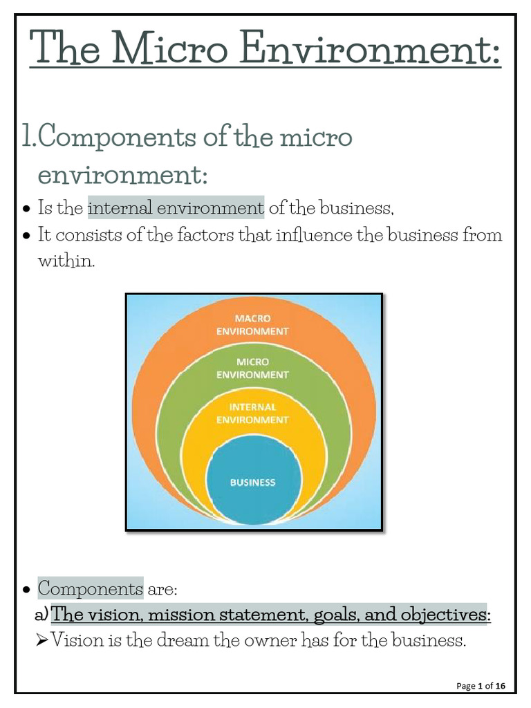 1.the Micro Environment | PDF | Marketing | Leadership