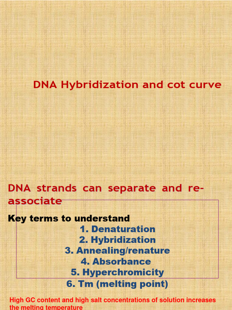 Understanding Cot Curves in DNA Hybridization | PDF | Nucleic Acid ...