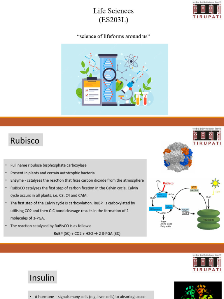 Introduction To Macromolecules | PDF | Antibody | Denaturation ...