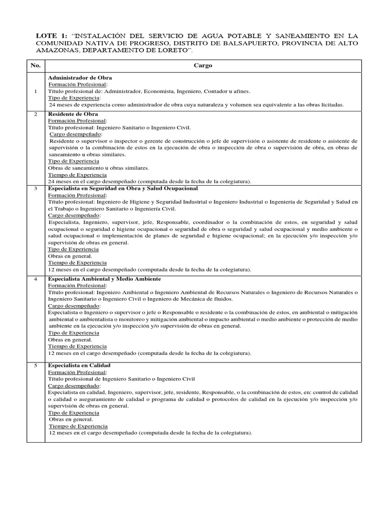 Lote 1 Balsapuerto - TDR | PDF | Saneamiento | Ingeniería