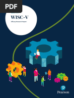 Wisc 4 Manual | PDF