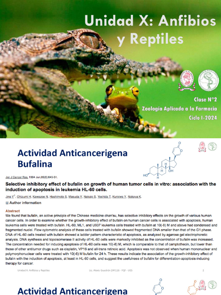 Unidad X Anfibios y Reptiles 2024 CLASE 2 | PDF