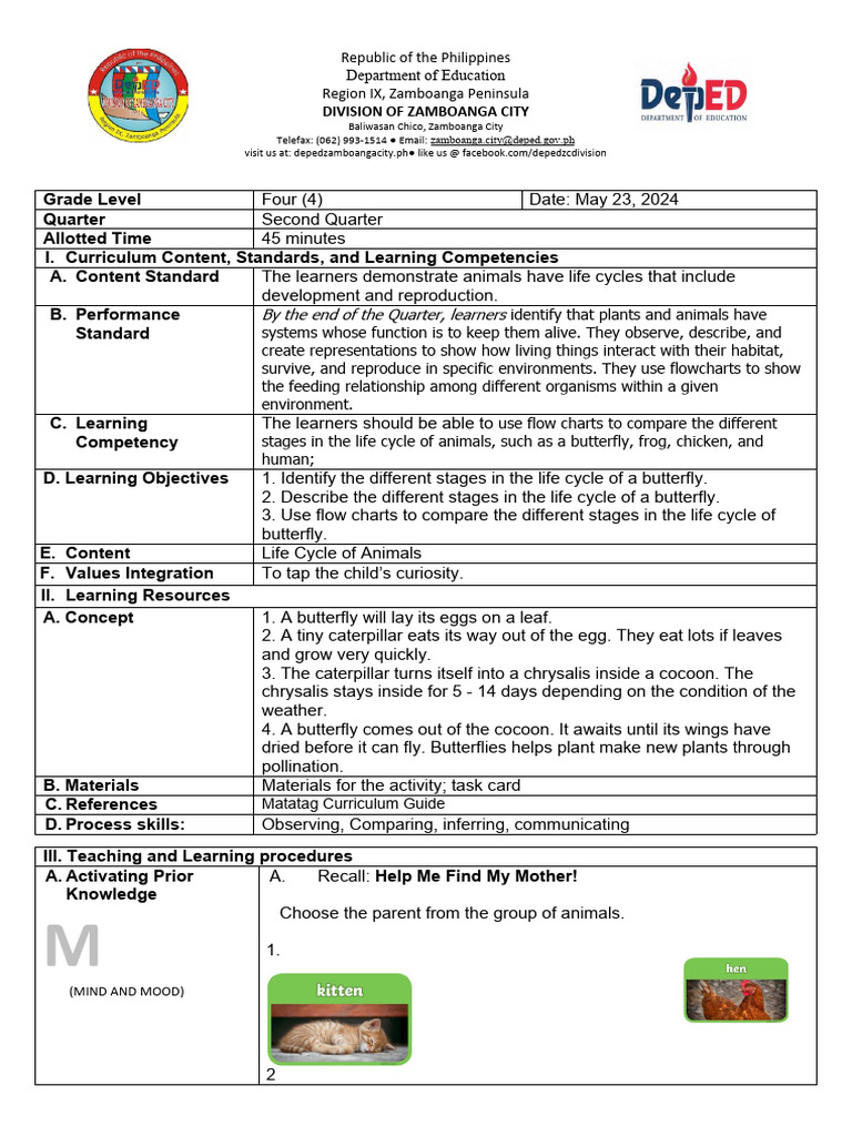 Butterfly Life Cycle Lesson Plan for Grade 4 | PDF | Pupa | Butterfly