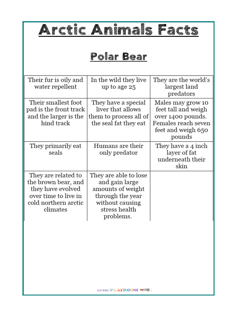 Arctic Animal Facts | PDF | Pinniped | Zoology