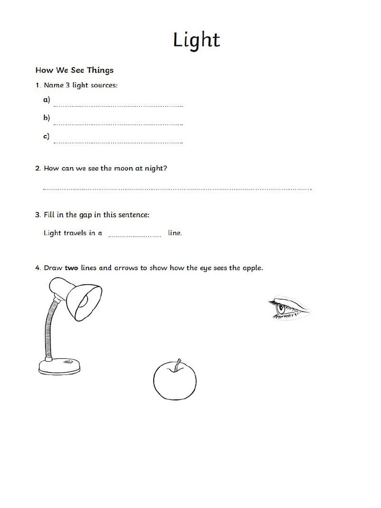 Light Year 4 Term 3 | PDF