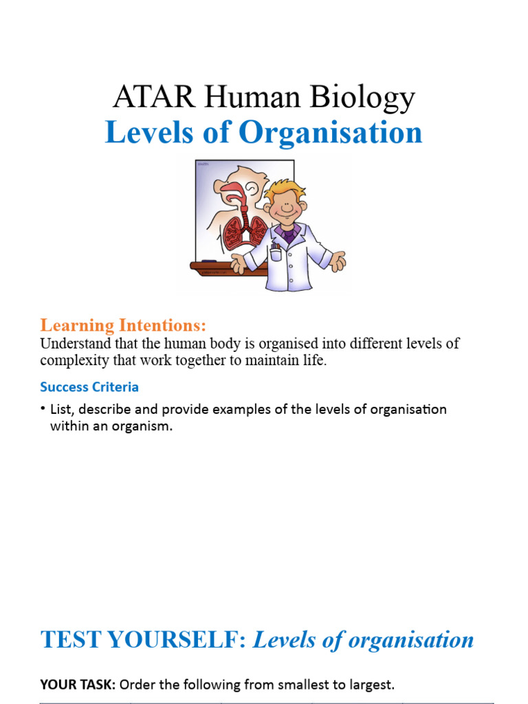 Cells and Tissues #1 - Levels of Organisation | PDF | Tissue (Biology ...