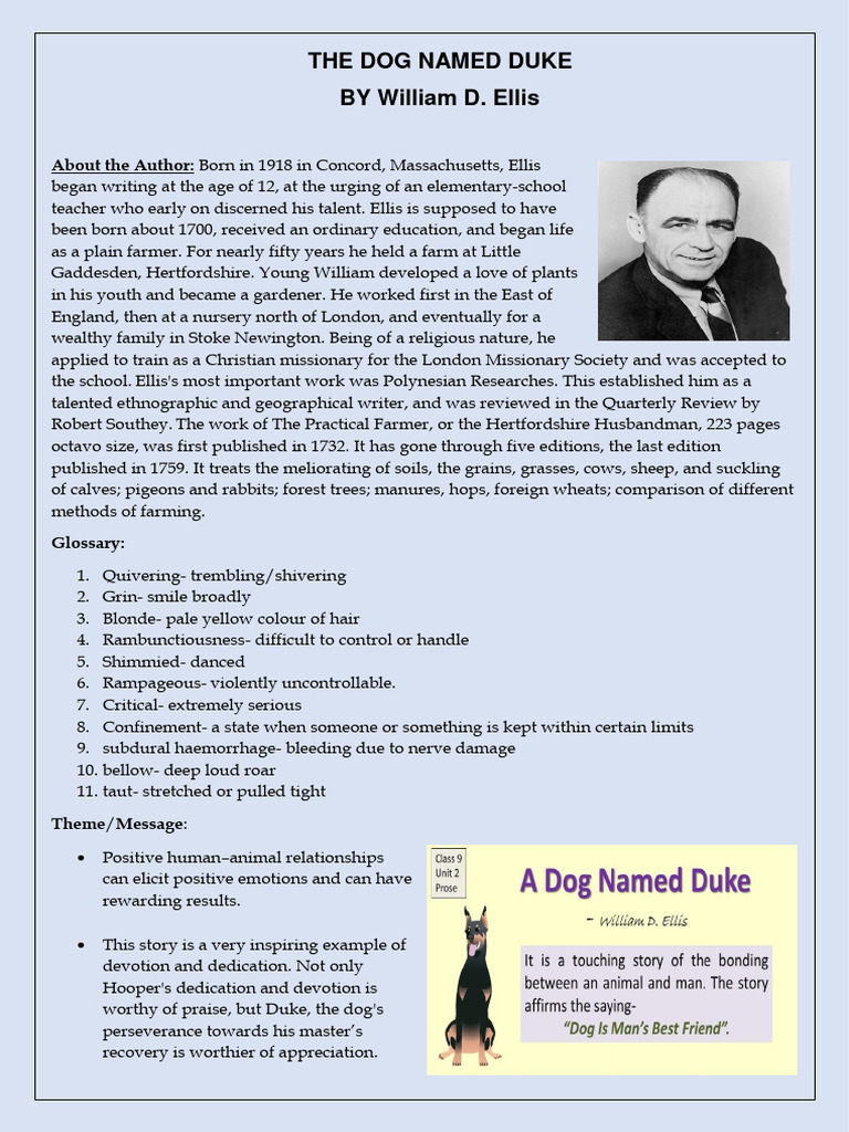 Creative Lesson Plan A Dog Named Duke | PDF