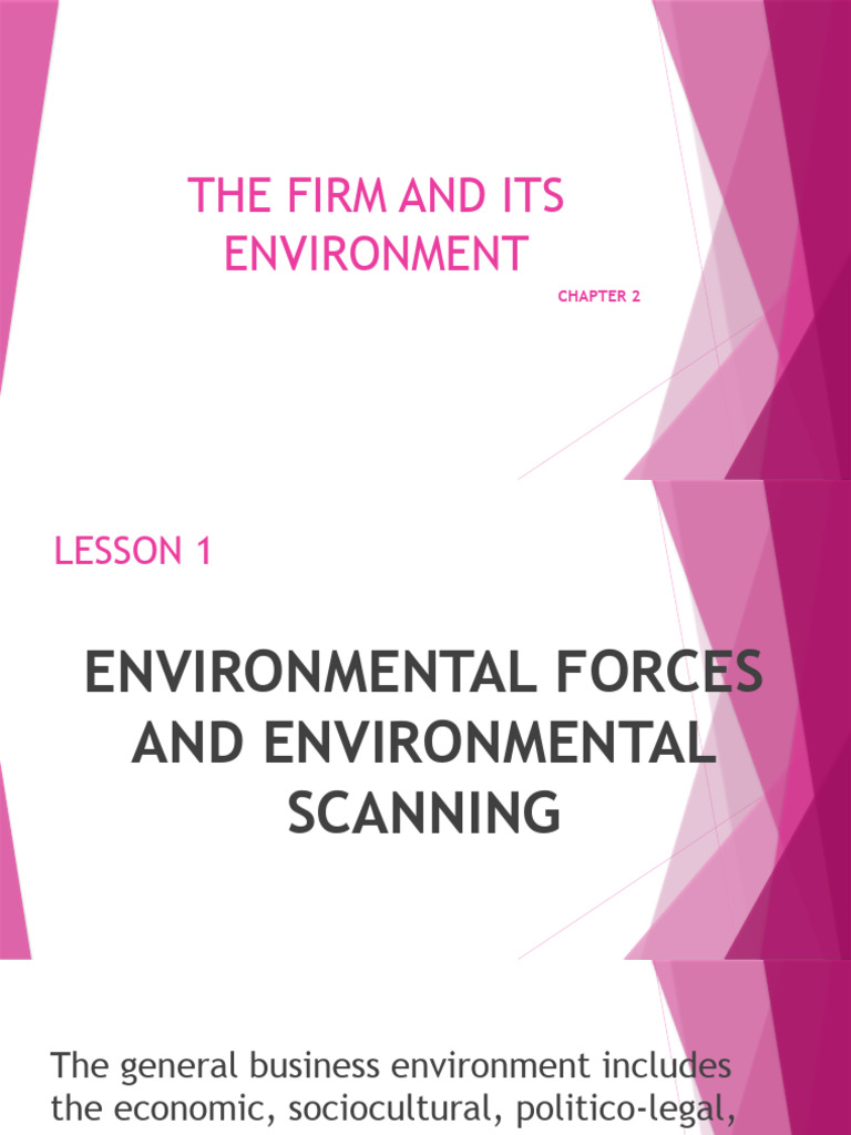 Chapter 2- The Firm and It's Environment | PDF | Millennium Development ...