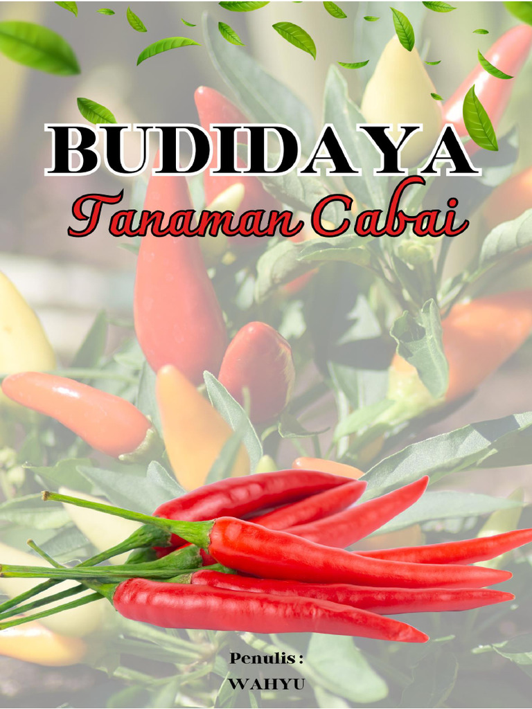Pengolahan Lahan Untuk Tanaman Cabe | PDF