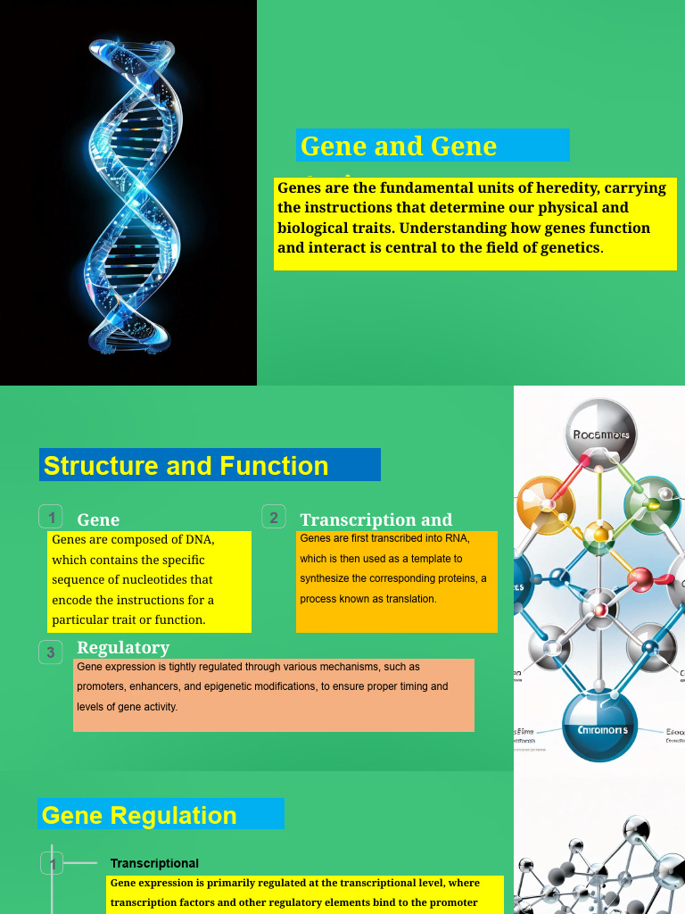 Gene and Gene Action | Download Free PDF | Rna | Dna