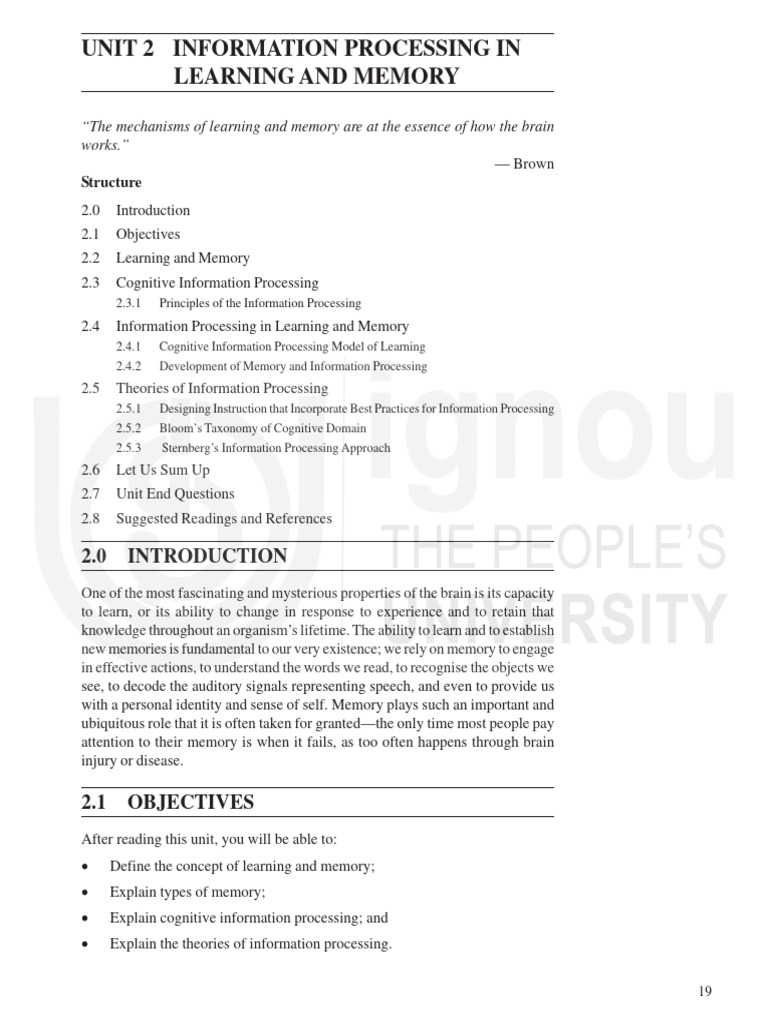 Unit 2 | PDF | Memory | Long Term Memory