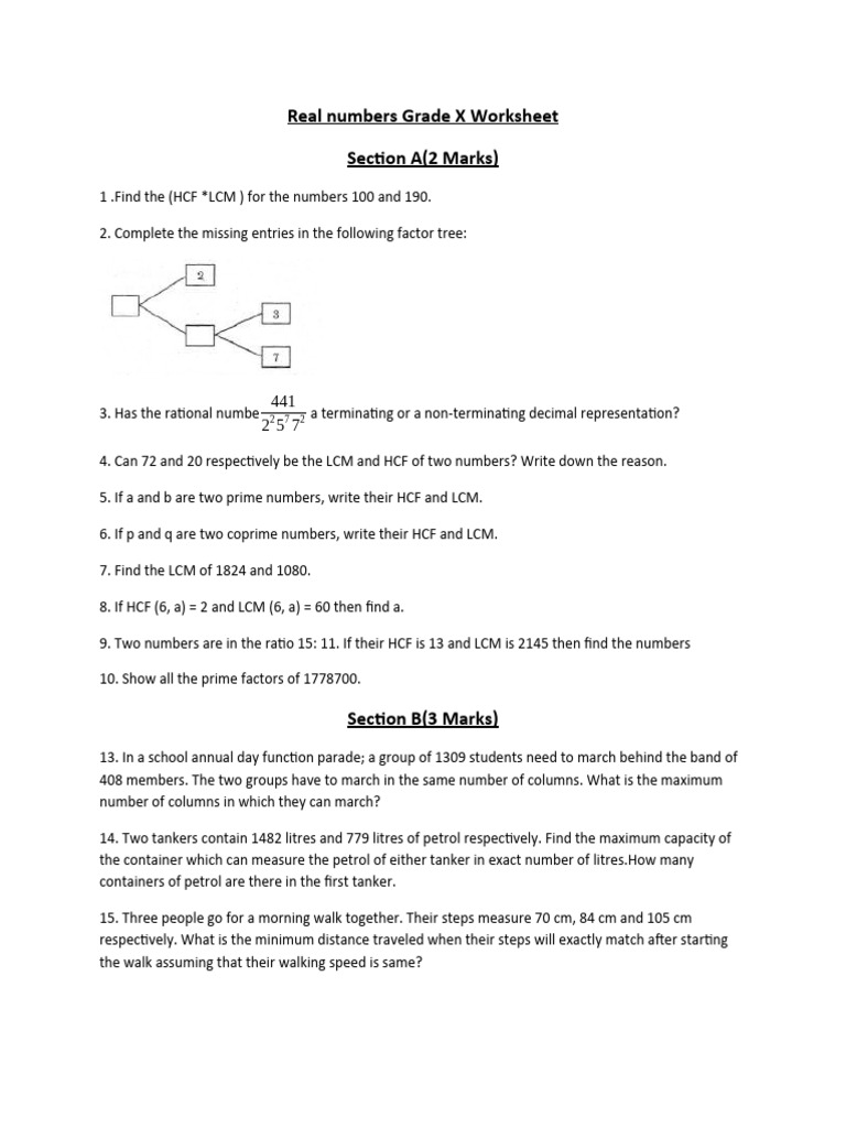Real Numbers Worksheet for Grade X | PDF | Numbers | Prime Number
