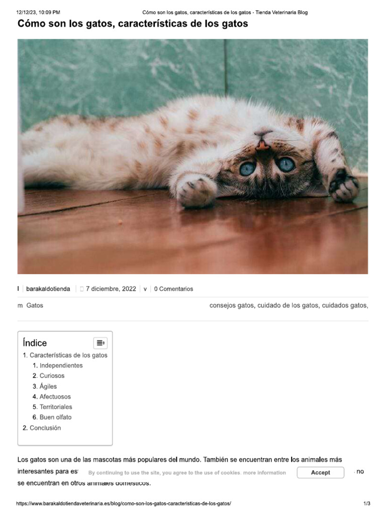 Vida de los gatos | PDF