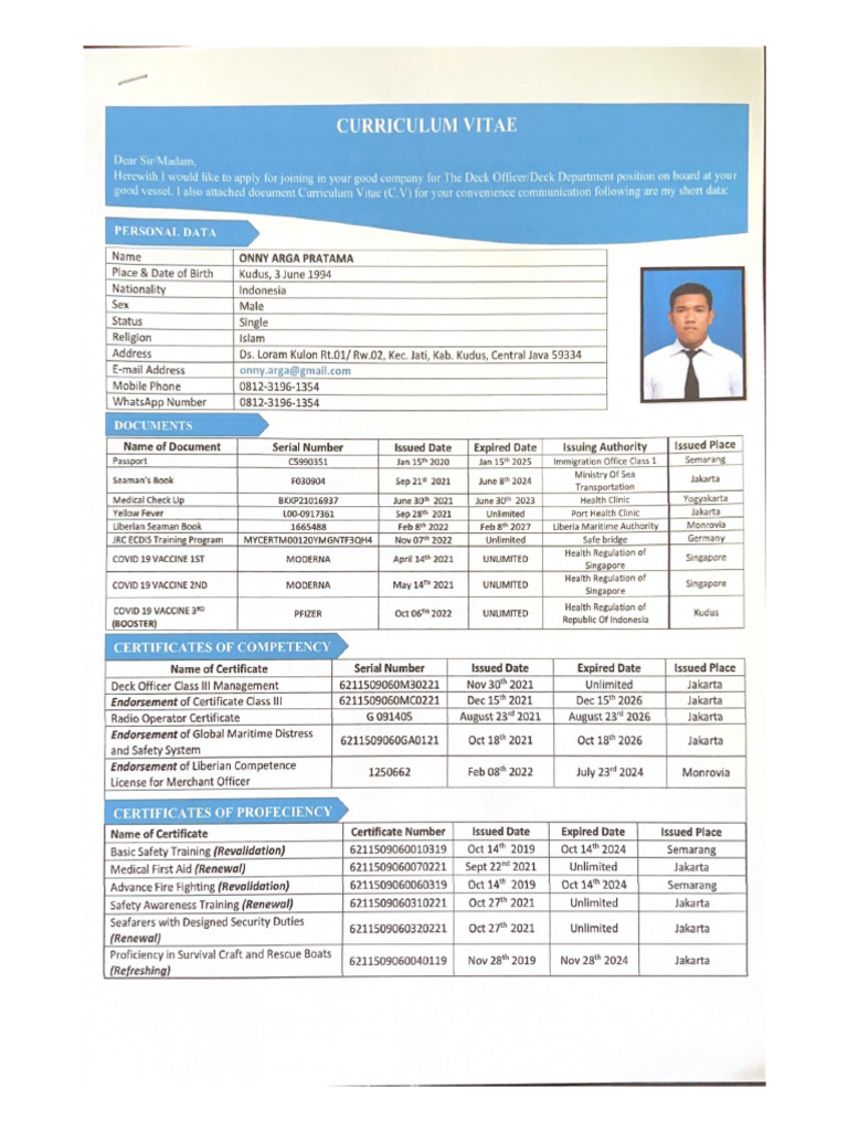 Curriculum Vitae-2 | PDF