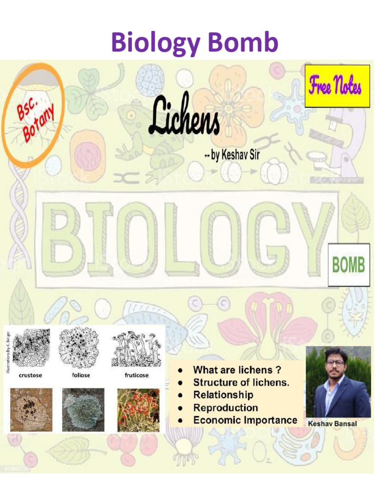 Lichens by Biology Bomb | PDF | Organisms | Eukaryotes