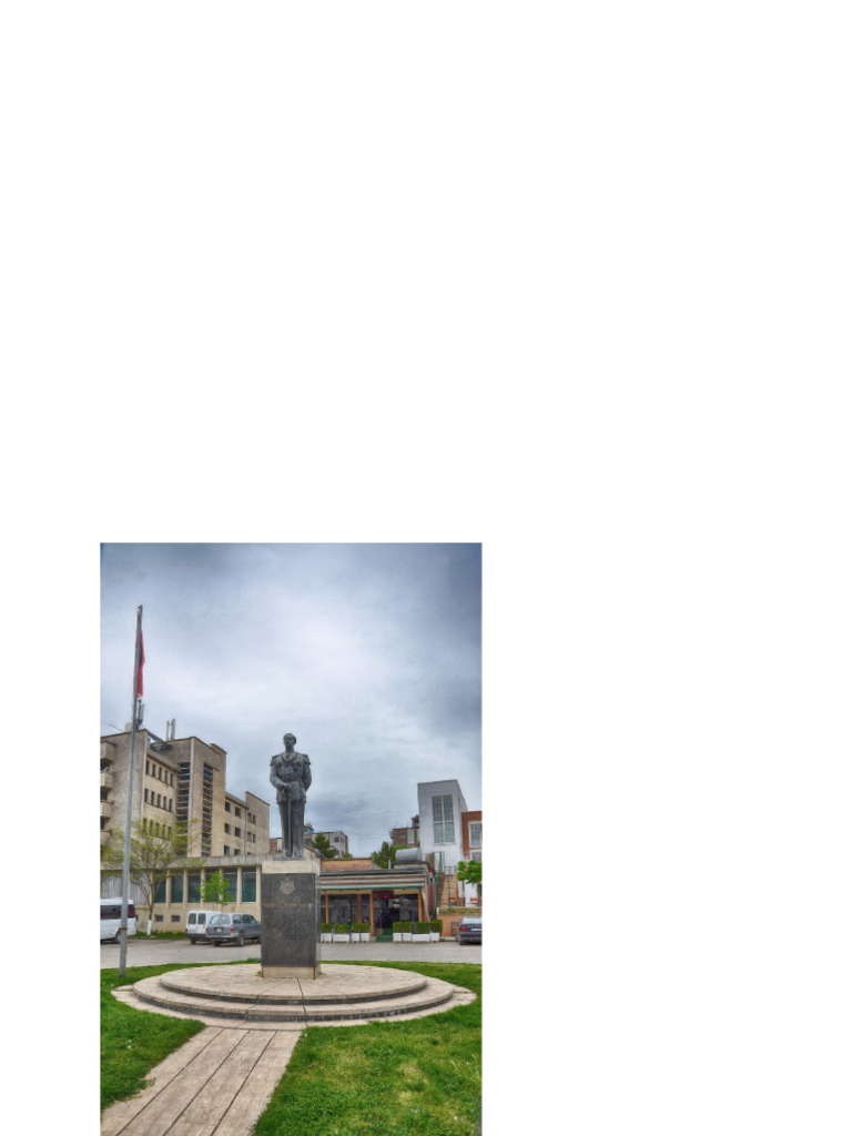 BURRELI | PDF