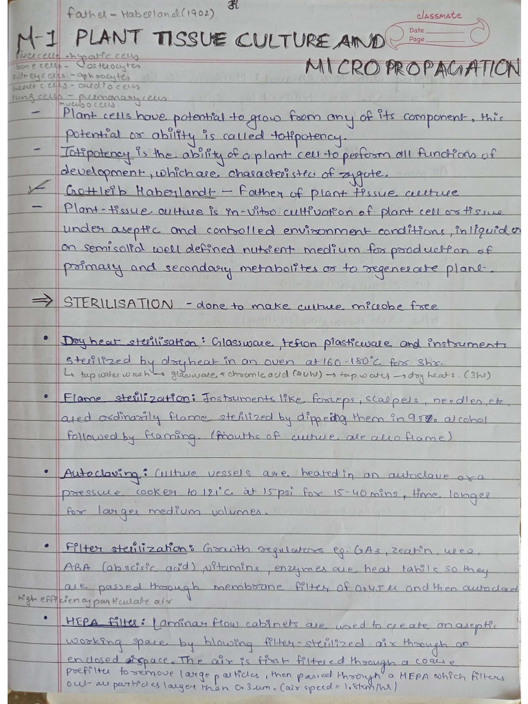 Plant Biotechnology | PDF