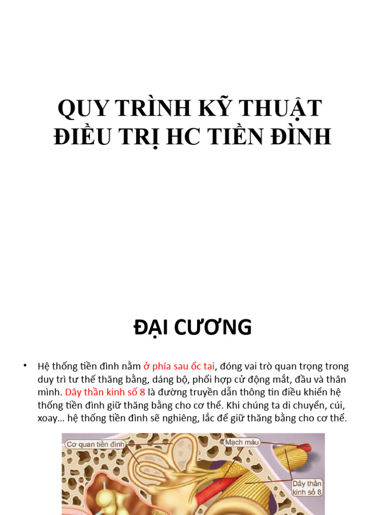QTKT XBBH Hội Chứng Tiền Đình | PDF