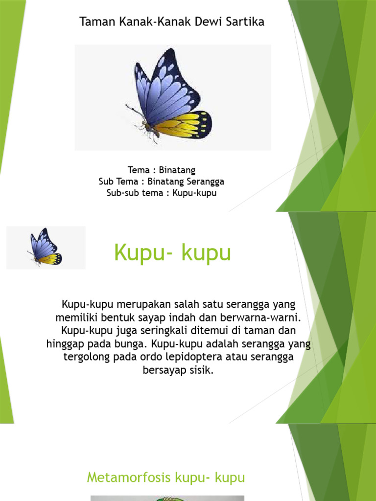 Tema Binatang Sub Tema Kupu Kupu | PDF | Seni & Disiplin Bahasa | Griya & Taman