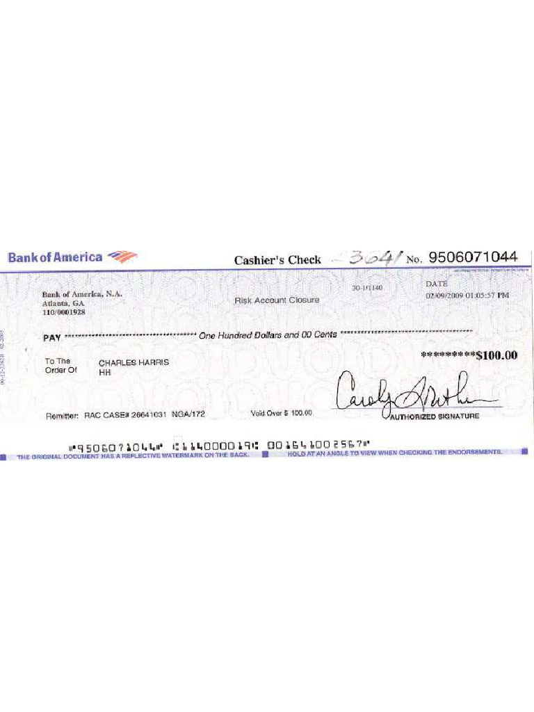 Type BankCheck Feb2009 BankOfAmericaPage1 005 | PDF