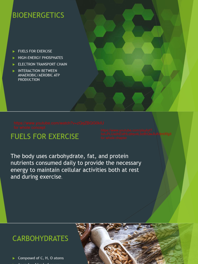 Bioenergetics Ex Physiology Group1 | PDF | Adenosine Triphosphate | Electron Transport Chain