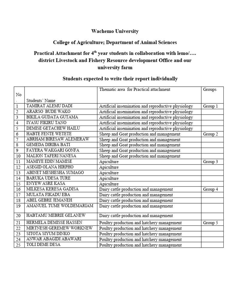 Practical Attachment | PDF