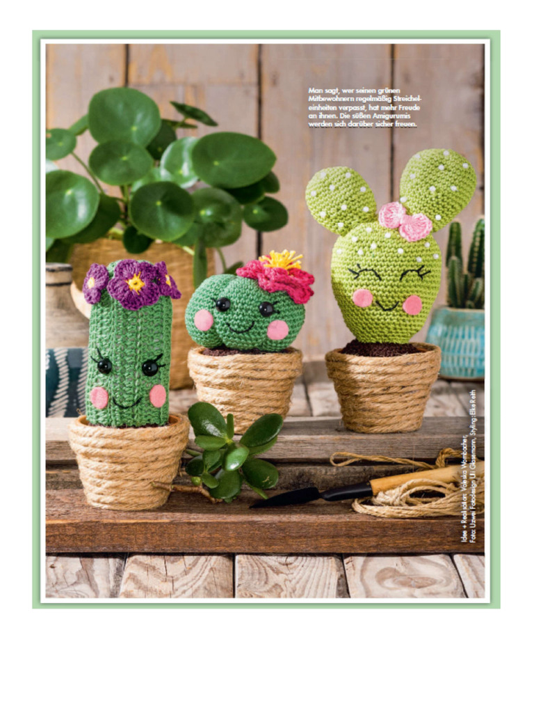Plantas A Crochet Patrón | PDF