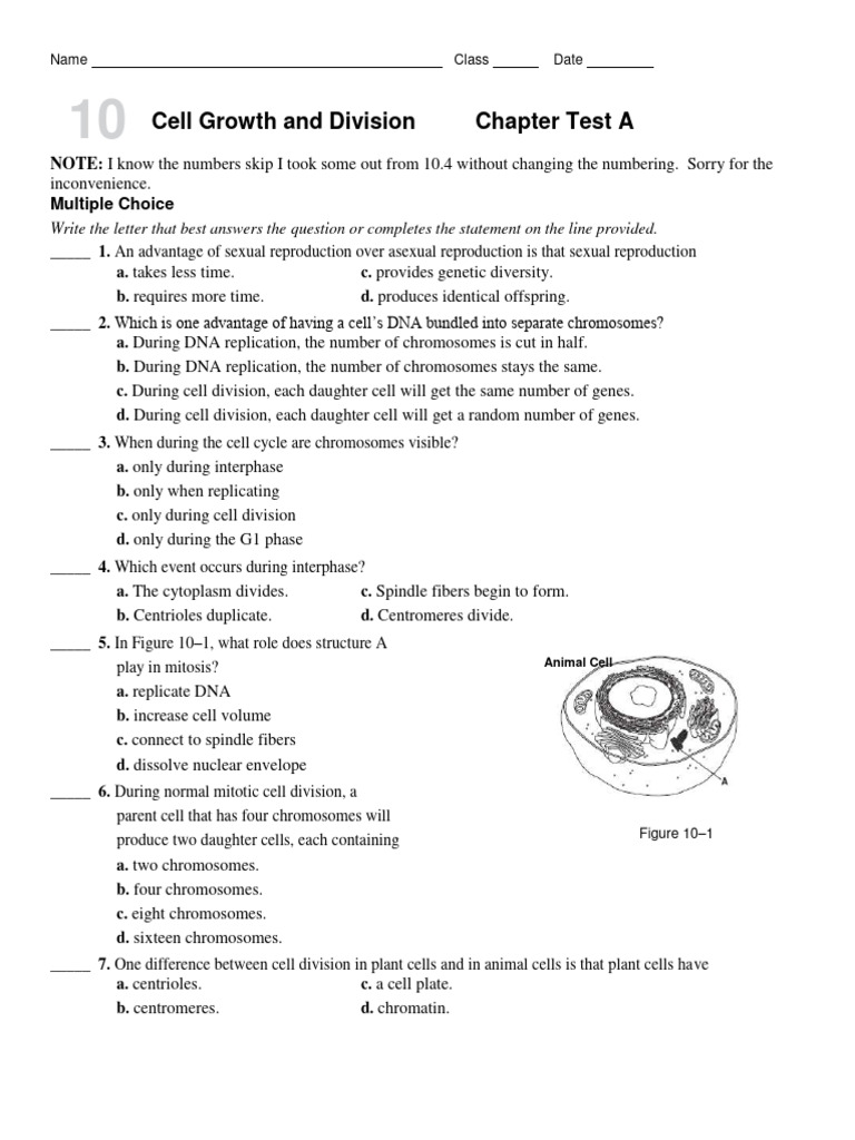 Bio Worksheet | PDF | Mitosis | Chromosome