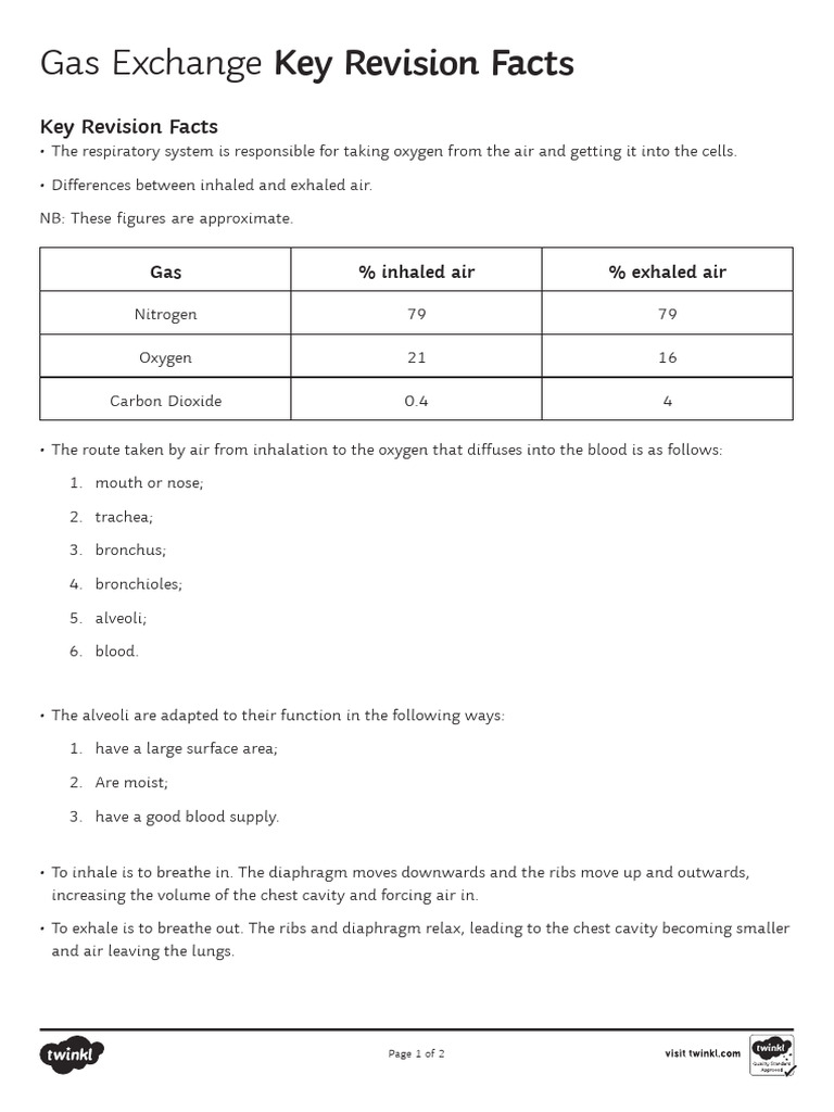 Gas Exchange Key Revision Facts | PDF