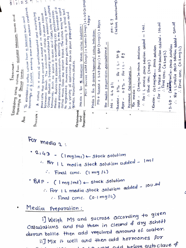 Adobe Scan 26 Nov 2023 | Download Free PDF | Biology | Plant Physiology