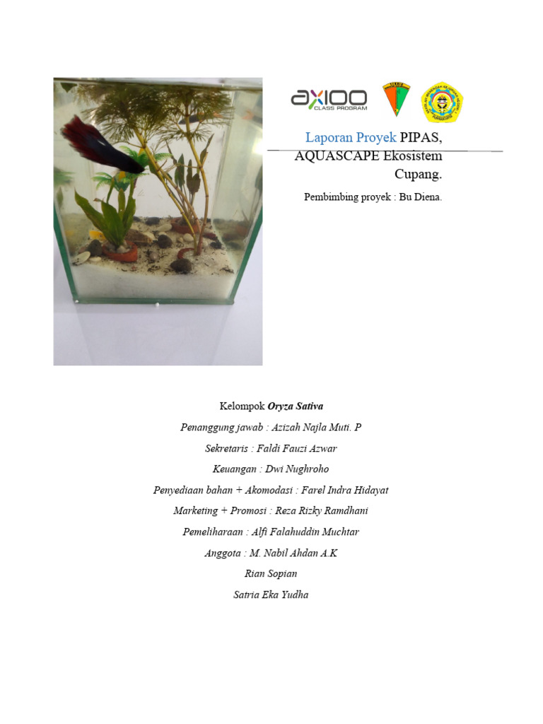 Laporan Proyek Aquascape Cupang | PDF | Griya & Taman | Sains & Matematika