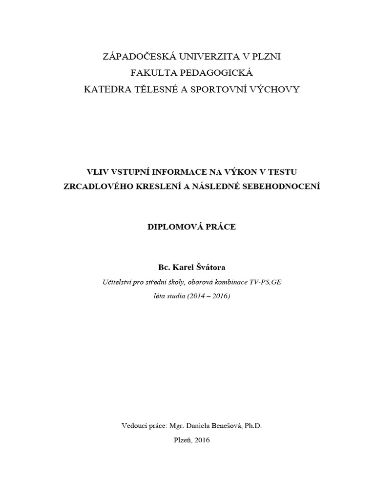Diplomova Prace Svatora Karel | PDF