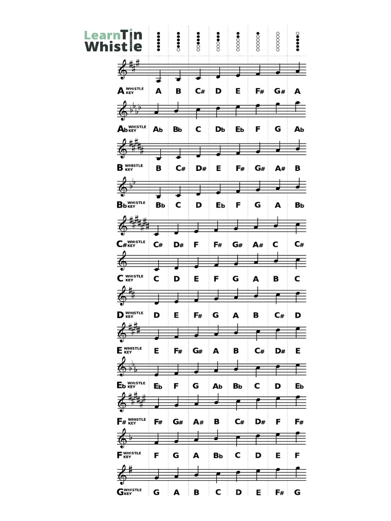 Tin Whistle Fingering Charts | PDF