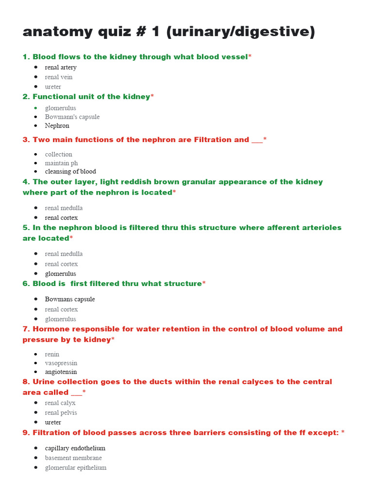 Anatomy Quiz 1 | PDF | Kidney | Stomach