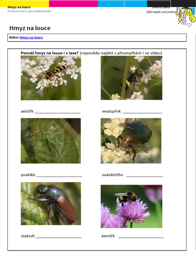 Pracovni List Hmyz Na Louce | PDF